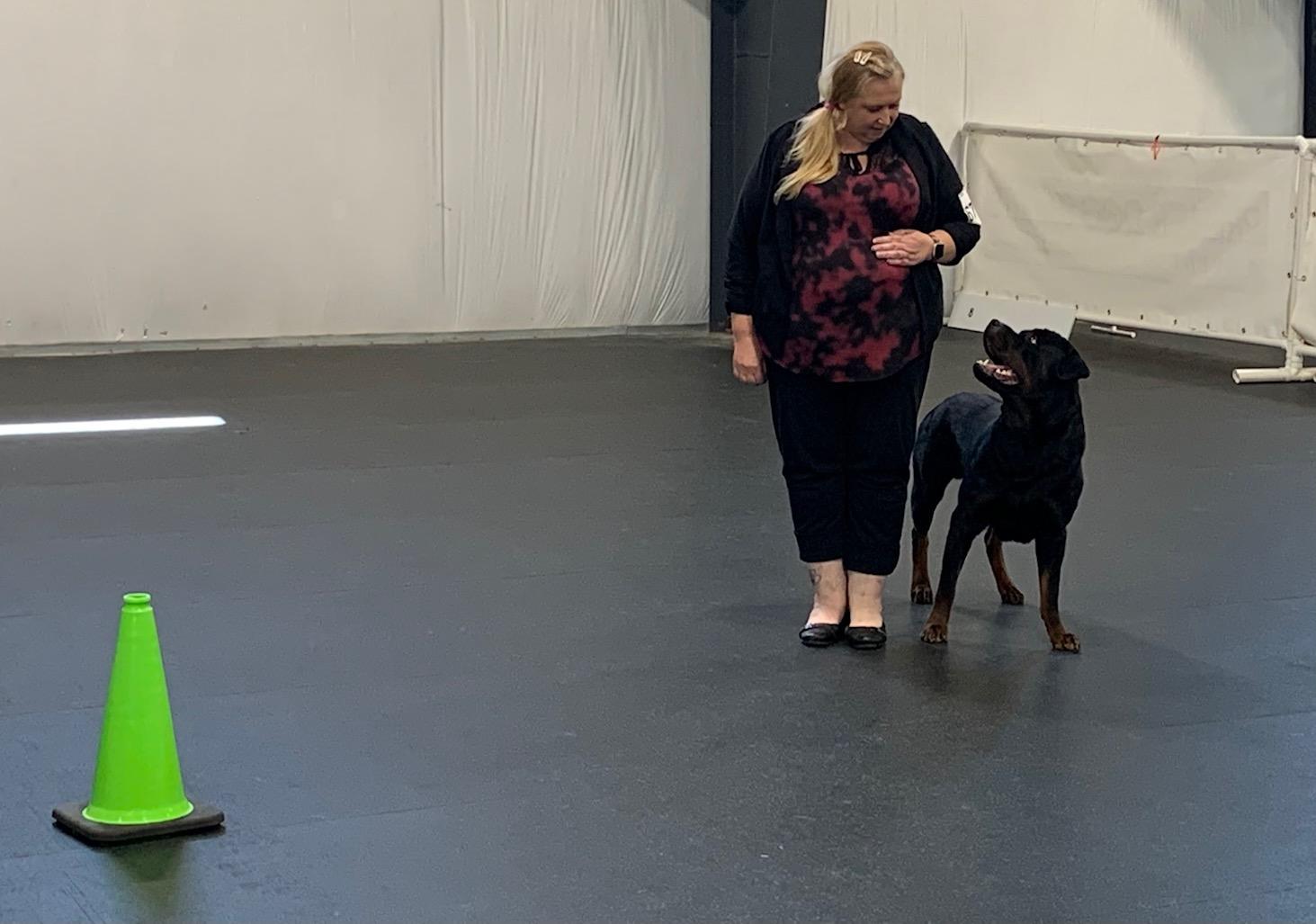 Canine Good Citizen in Lancaster, NY | Premier Dog Sports & Event Center