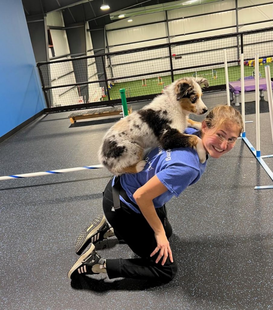 Tricks in Lancaster, NY | Premier Dog Sports & Event Center
