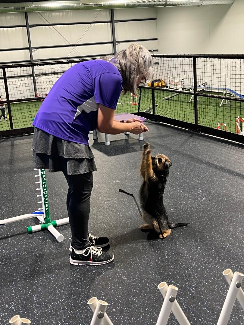 Tricks in Lancaster, NY | Premier Dog Sports & Event Center
