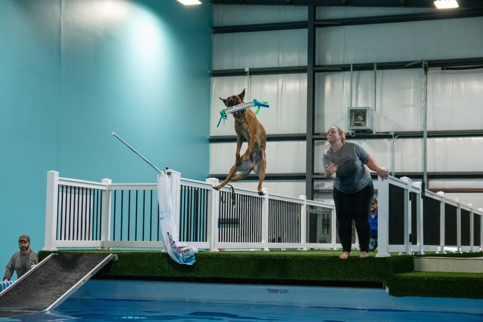 Premier Dock Jumping Pre-Season Combine in Lancaster, NY | Premier Dog ...