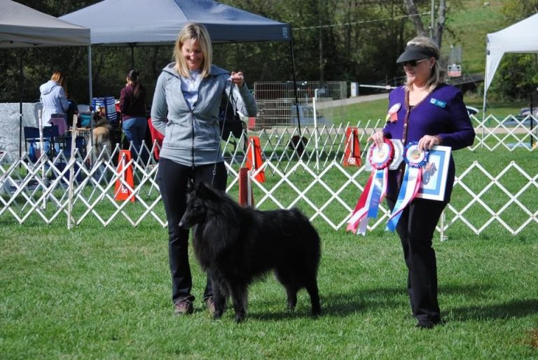 Darcy Ferrentino in Lancaster, NY | Premier Dog Sports & Event Center