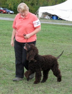 Cindy Rathbun in Lancaster, NY | Premier Dog Sports & Event Center